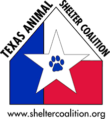 Texas Ferret Lover's Rescue